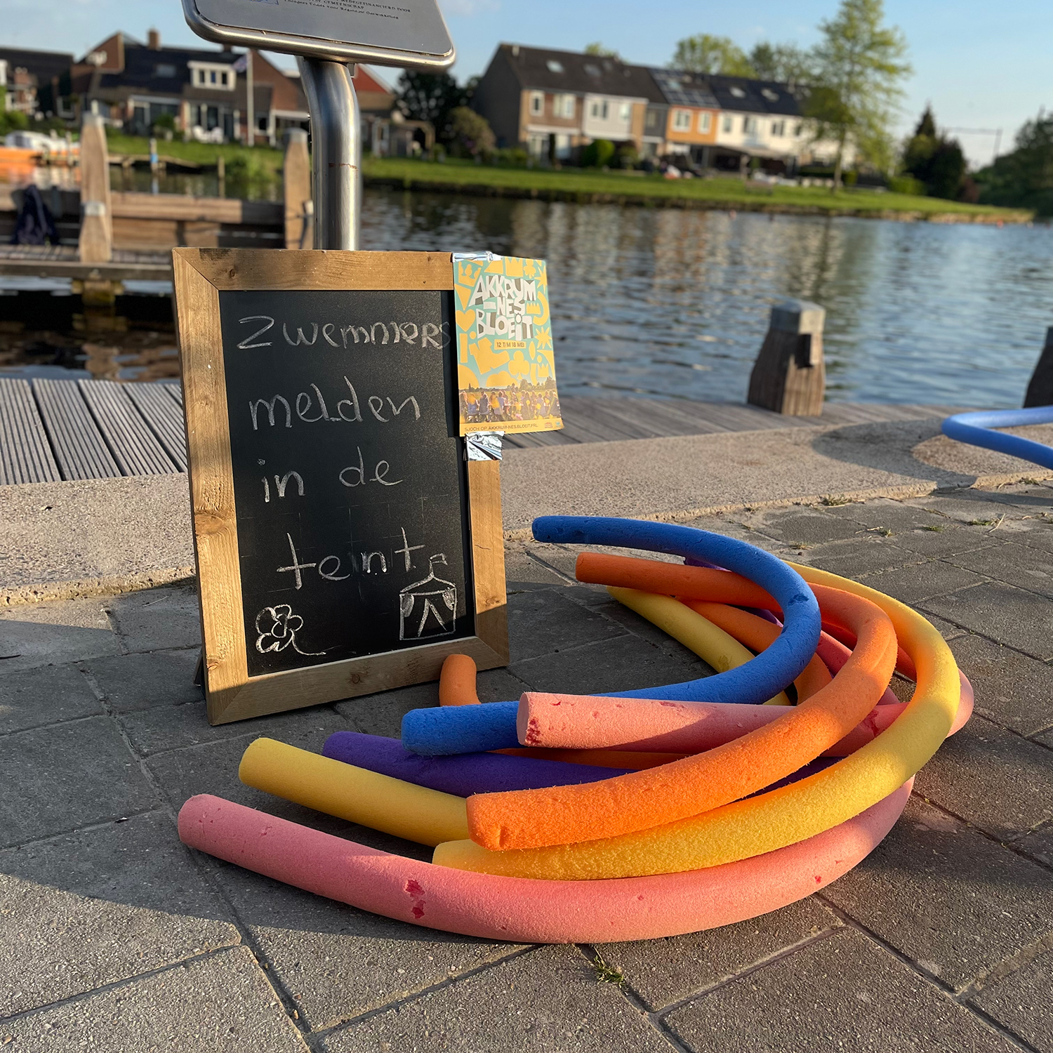 Home - Akkrum-Nes Bloeit