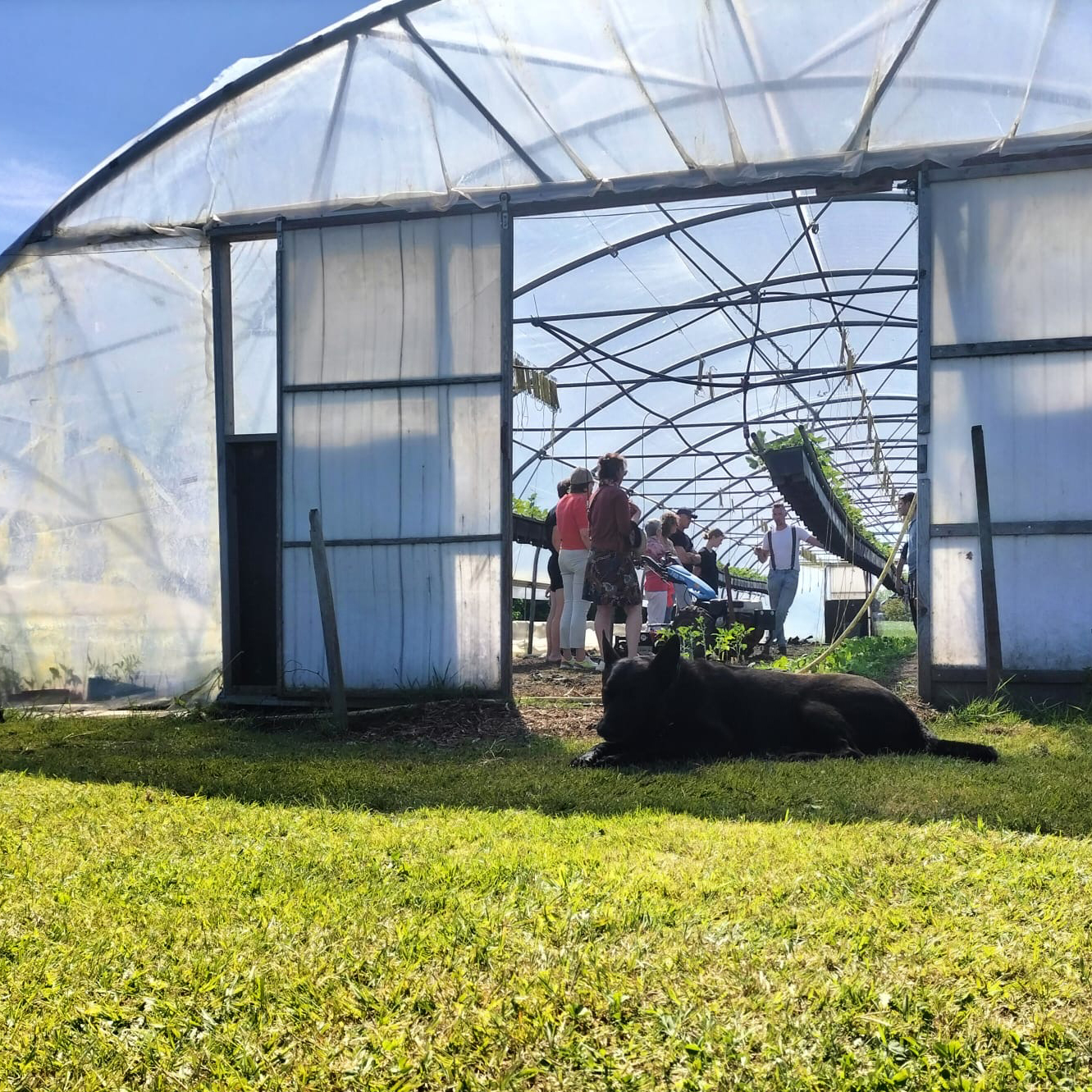 Home - Akkrum-Nes Bloeit